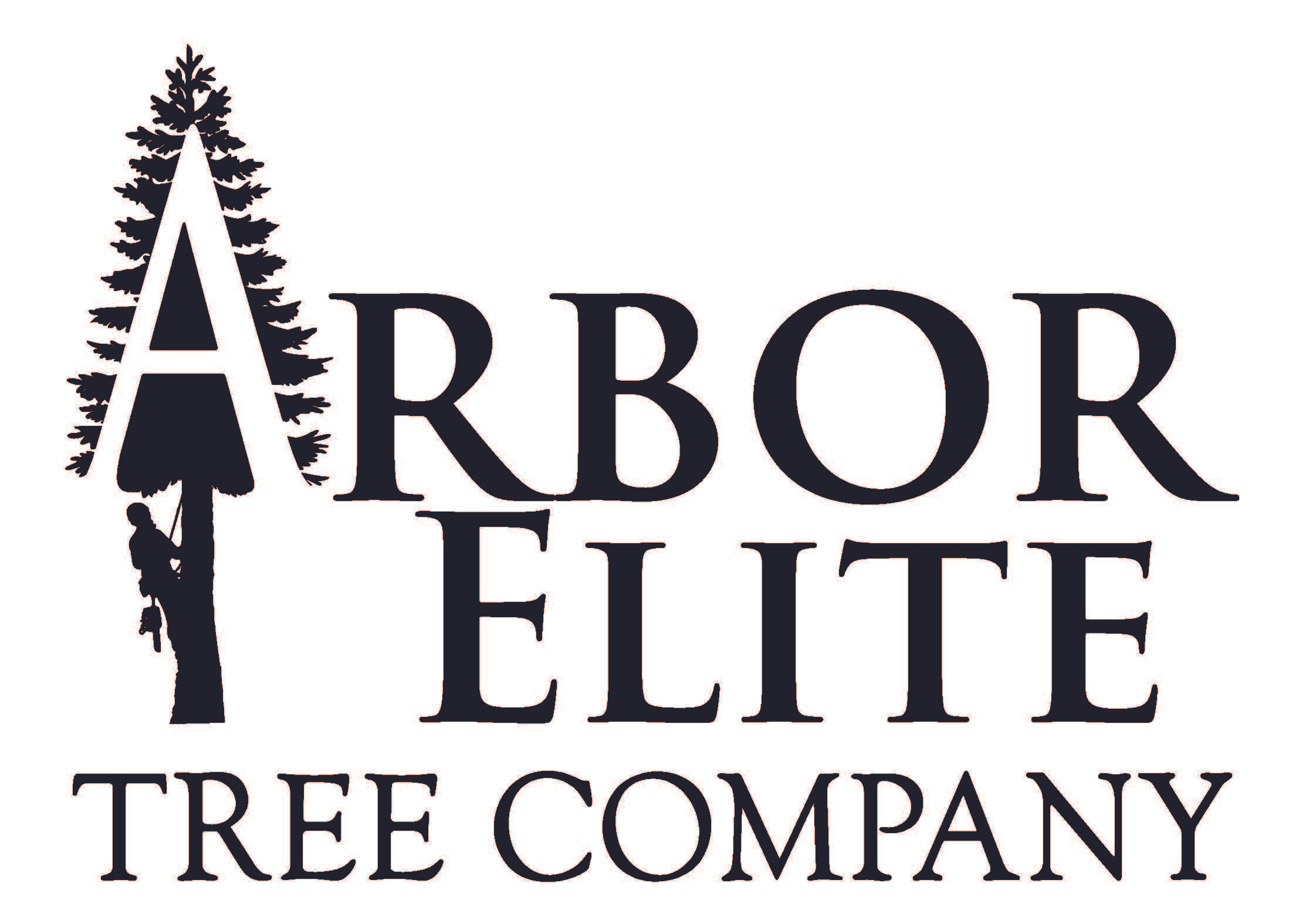 Tree Services Serving New York | Northern Tree Experts | 315- 509-1401